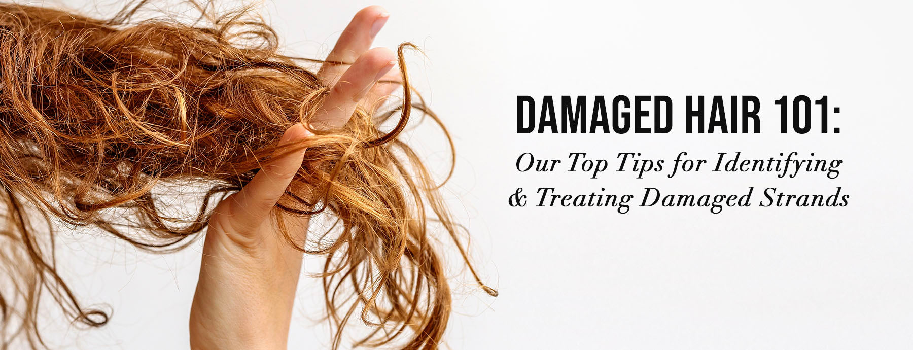 Ask Dr. Joe: What Does Damaged Hair Look Like? – Color Wow UK